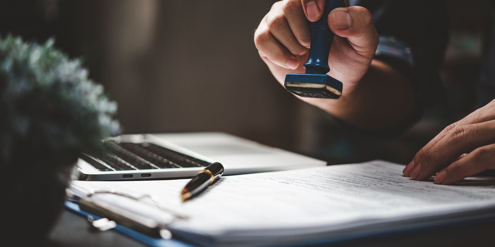 Mistakes Companies Make When Drafting Government Contract Proposals ...